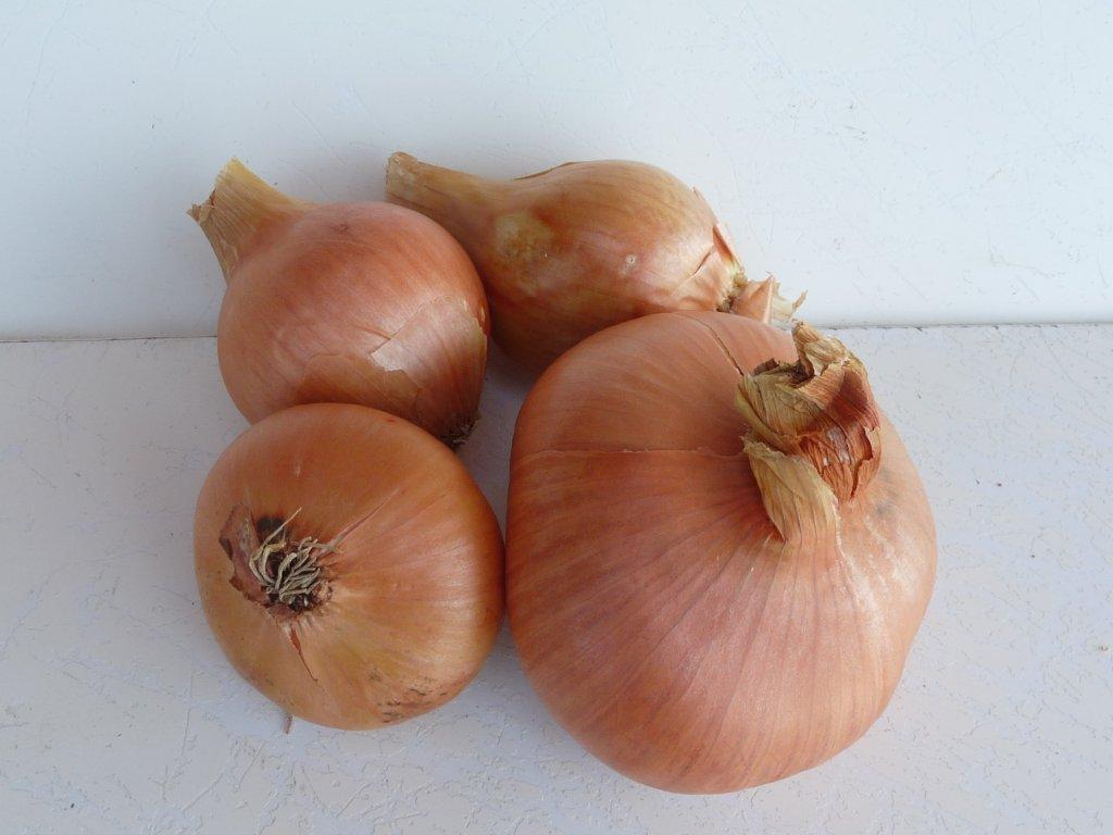 Oignon jaune paille par 500 gr bio à Lyon Rhône (69)