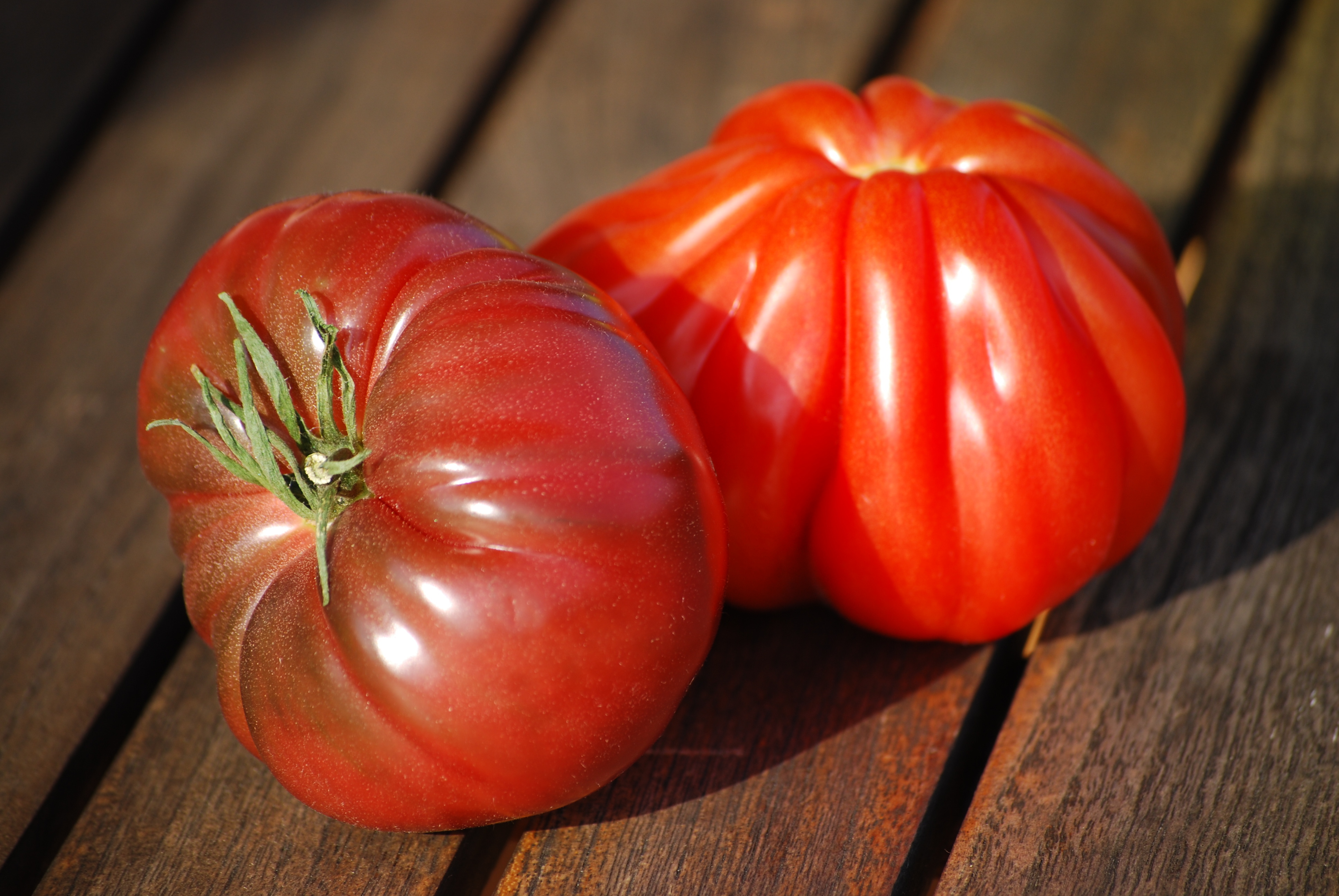Tomates anciennes mélangées, kg bio à Lyon Rhône (69)