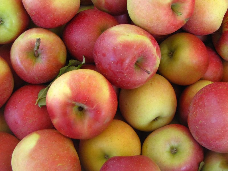 Pomme Fuji, kg bio à Lyon Rhône (69)