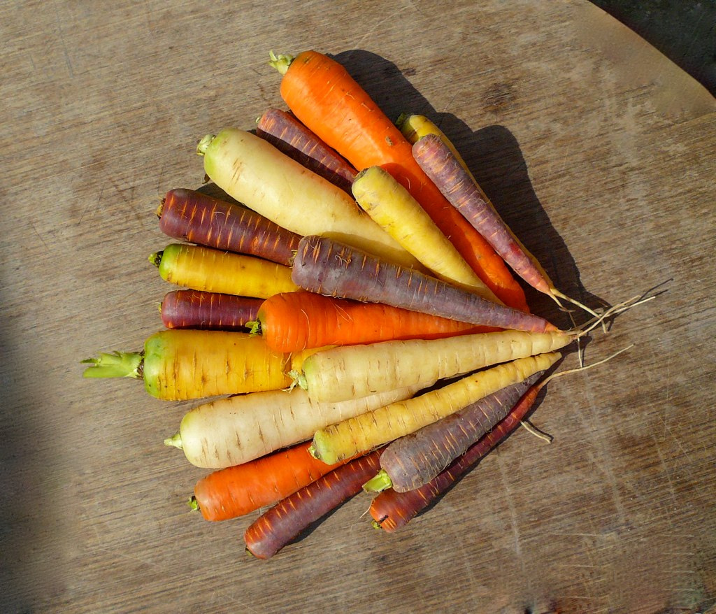 Carotte colorée violette et blanche, kg bio à Lyon Rhône (69)